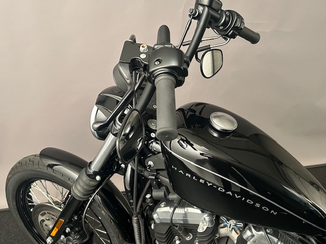 Harley-Davidson - 2010 XL 1200 N Nightster